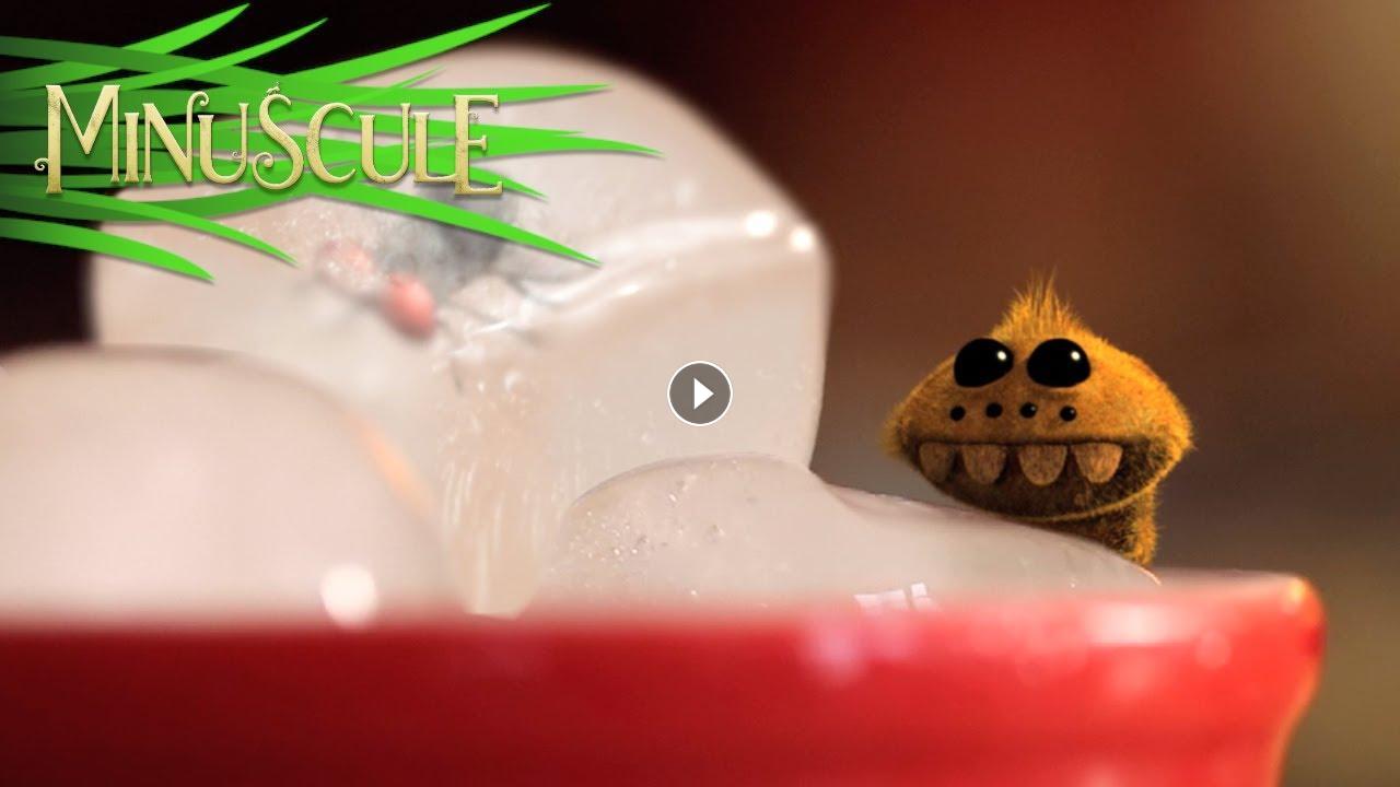 Minuscule - Season 2 (20 minutes Compilation) #4