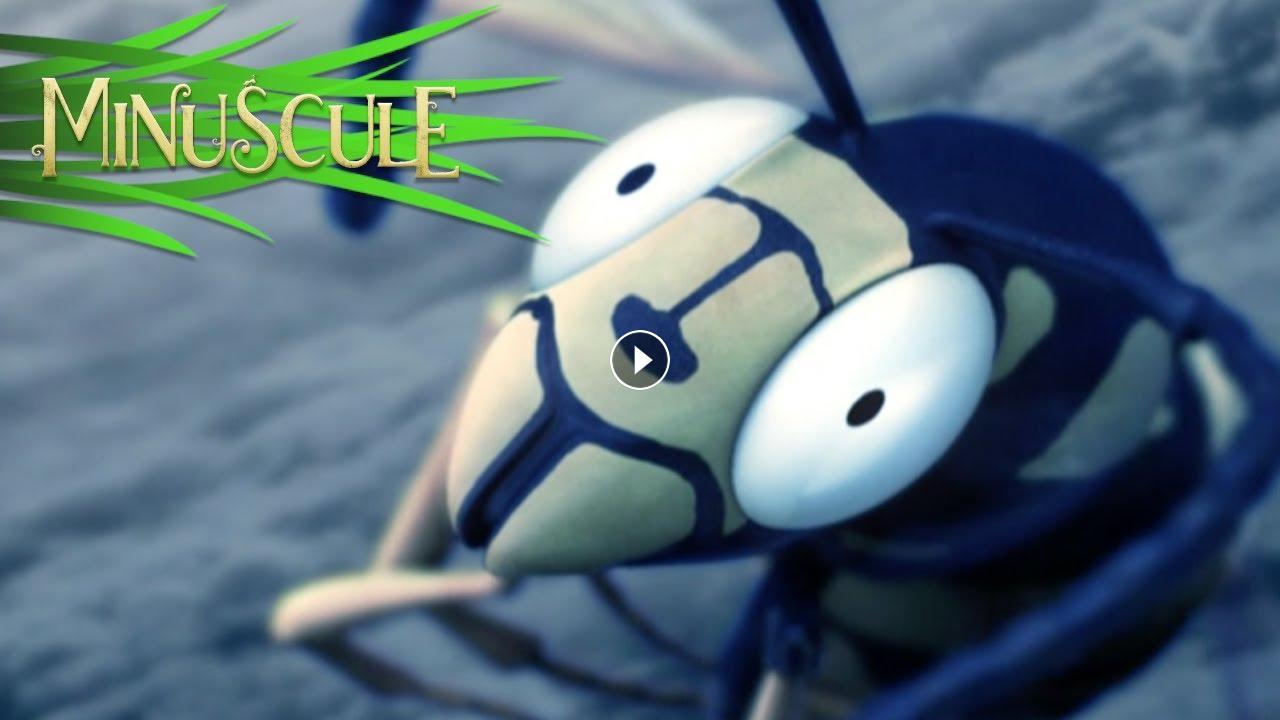 Minuscule - Wasp Belle/Top Guepe