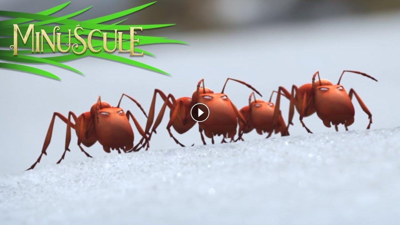 Minuscule - White as snow / Blanc comme neige (Season 2)