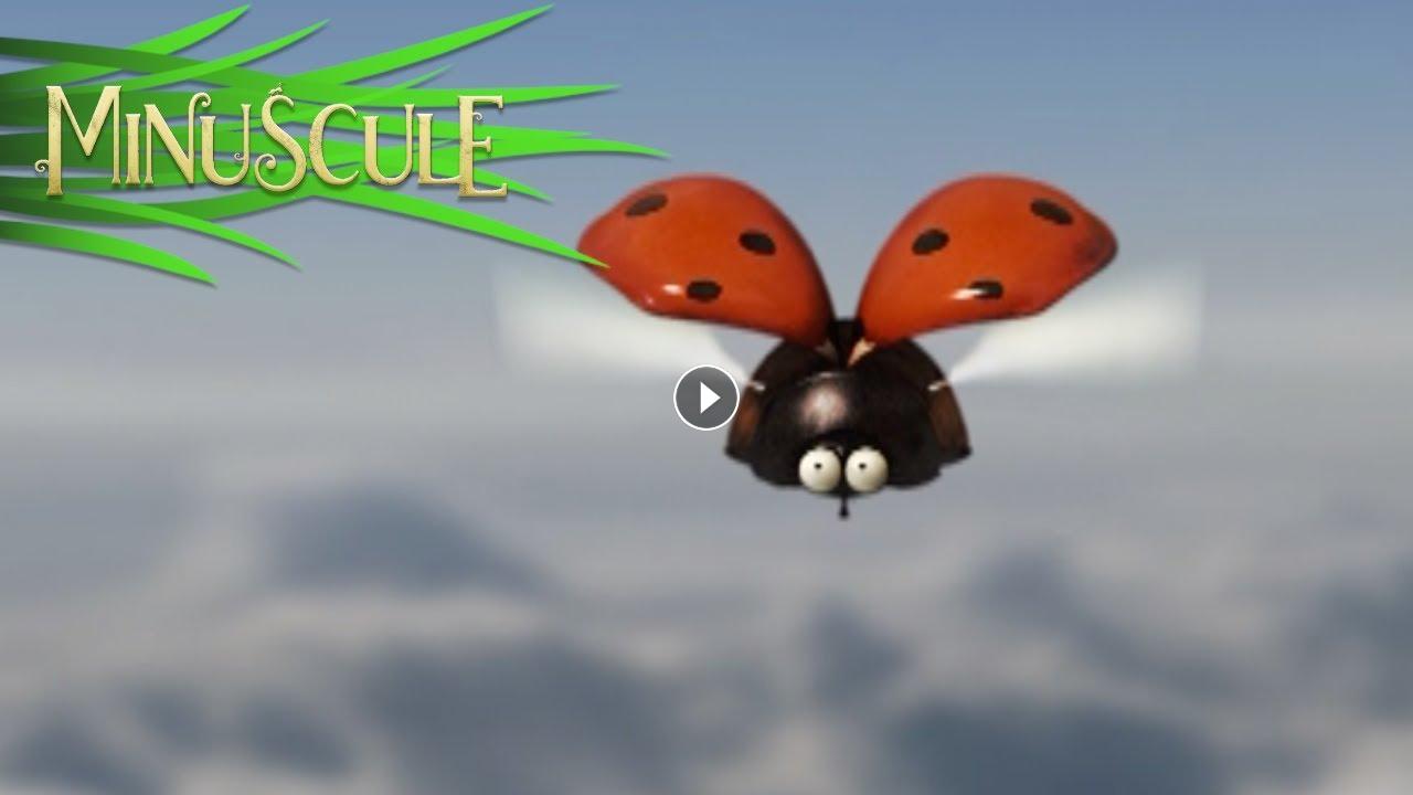 Minuscule - Zzzz Patrol/patrouille de bzzz